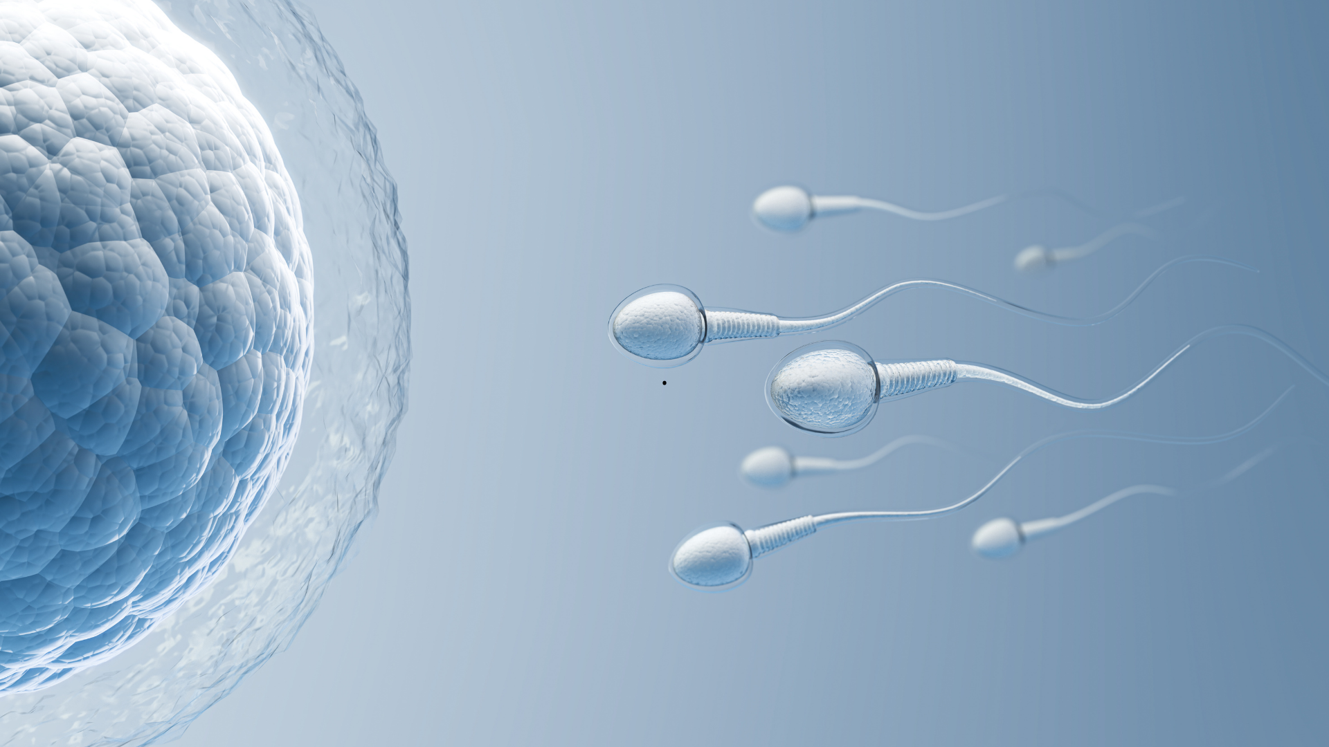 Dapoxetina (Prosoy): Como Funciona para Ejaculação Precoce